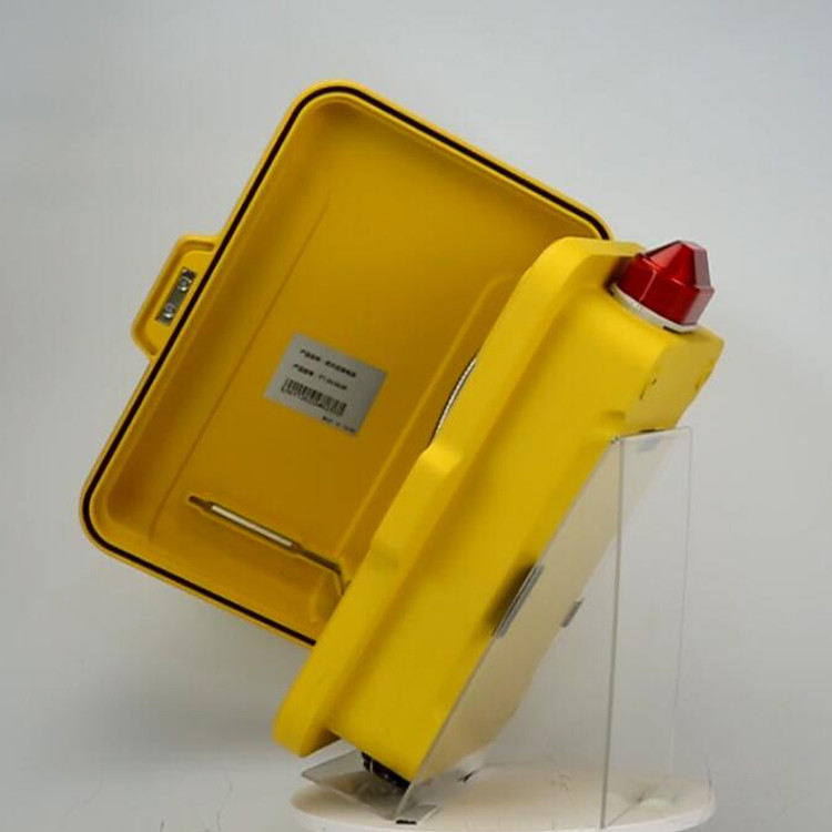 Power Over Ethernet Loud Speaking Telephone With Optional Color